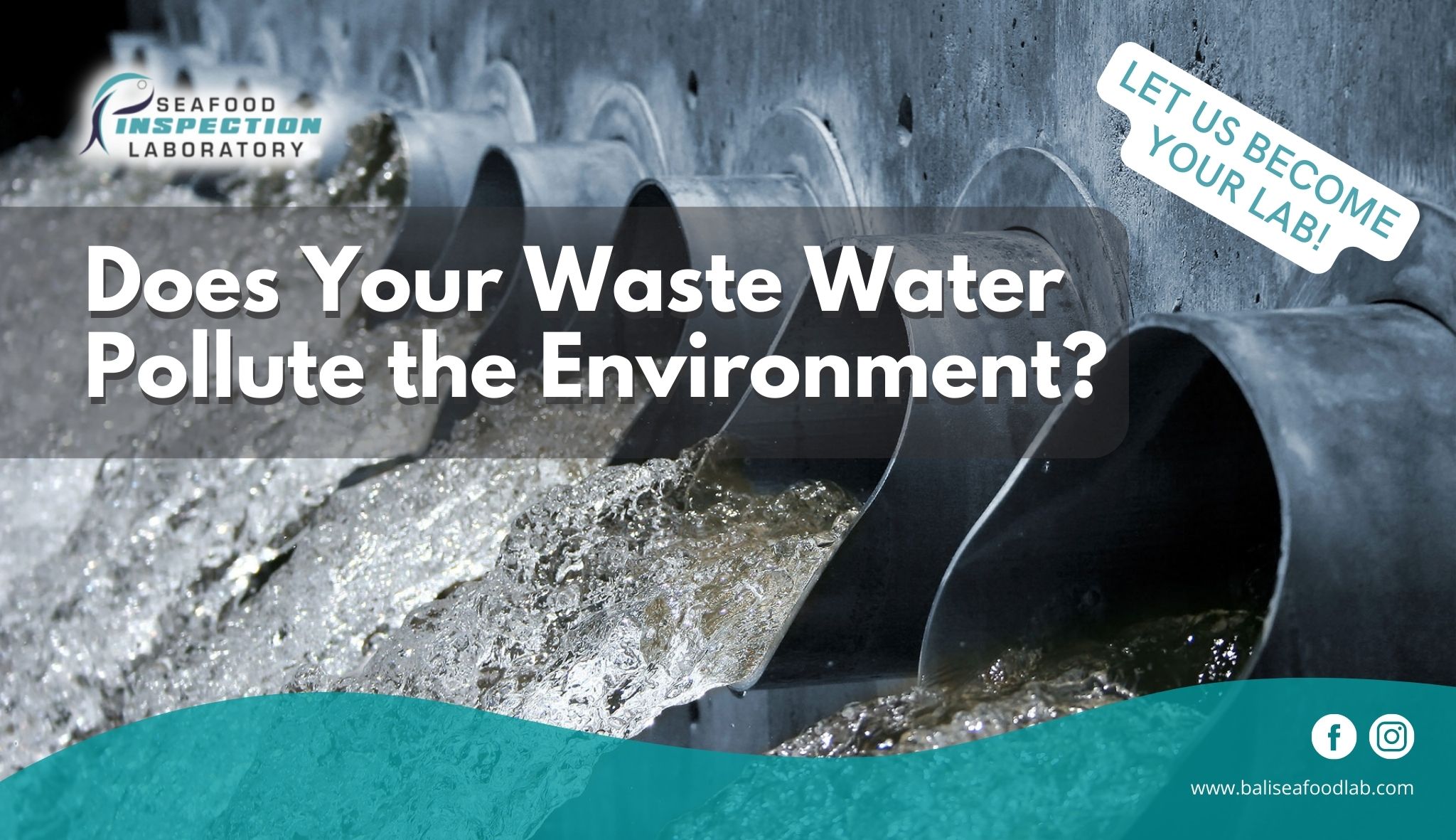 Does Your Wastewater Pollute the Environment? Check This Out!
